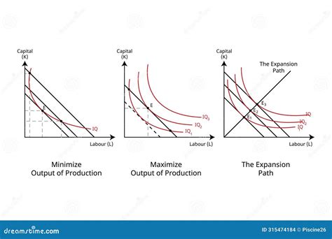 Isocost In Economics For Optimum Input Combination Stock Vector