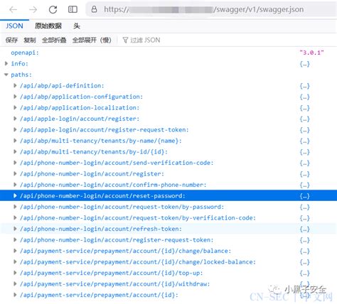 接口漏洞 WebService wsdl SOAP Swagger WebPack CN SEC 中文网