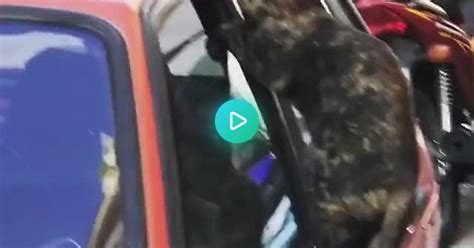 Know What You Want Out Of Life And Go For It Album On Imgur