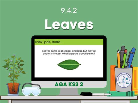 Leaves Teaching Resources