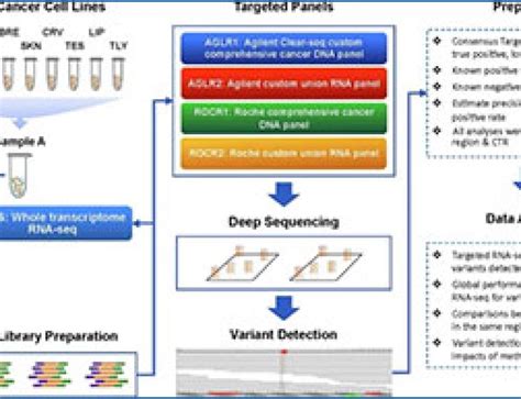 seuratextend streamlining single cell rna seq analysis through an