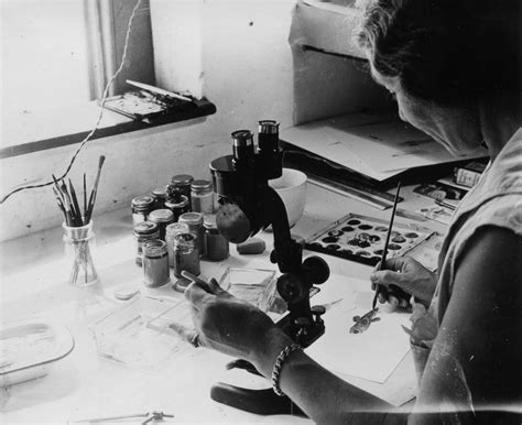 Drawing The Deep Sea From A Seat On The Shore Hakai Magazine