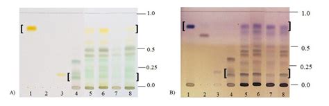 A B Tlc Chromatograms Of 4 Standards And 4 Nostoc Extracts Stationary Download Scientific