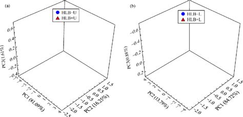 3 D Clustering Chart Of Top Three Principal Components Extracted From