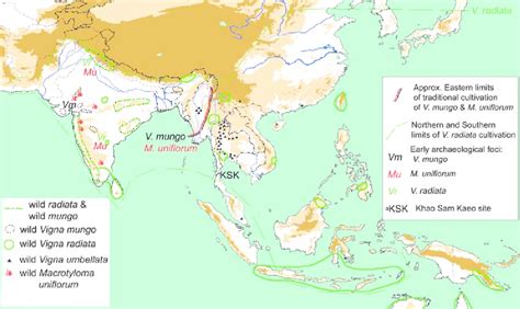 Map Showing Geographical Distributions Of Wild Vigna Radiata Vigna Download Scientific