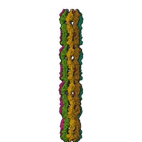 Rcsb Pdb 9flp Cryoem Structure Of The Neck 1403 2314 In The