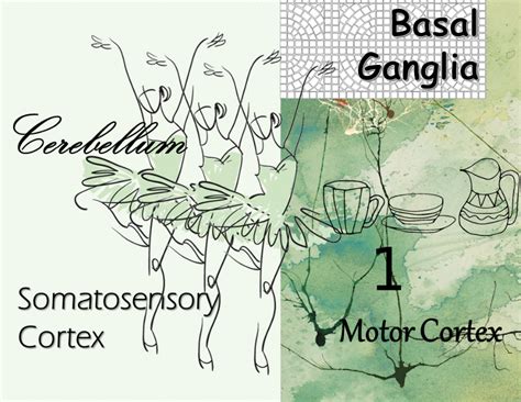Brain Mnemonic Openlab