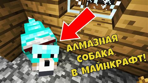 Алмазная Броня Для собаки Майнкрафт Выживание с Модами 1 Youtube