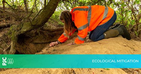 Ecological Mitigation Environmental Mitigation Wildlife Translocation