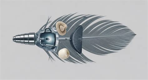 What Are The Key Differences Between A One Tier And A Two Tier Board