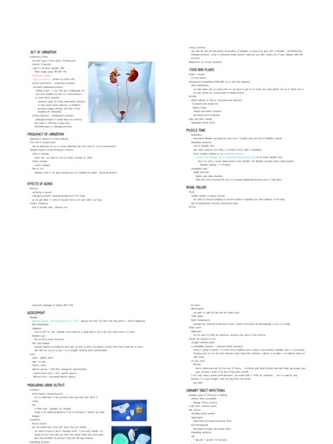 15 Lecture Final Pdf