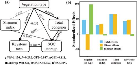 A Structural Equation Model Sem Showed The Direct And Indirect Download Scientific Diagram