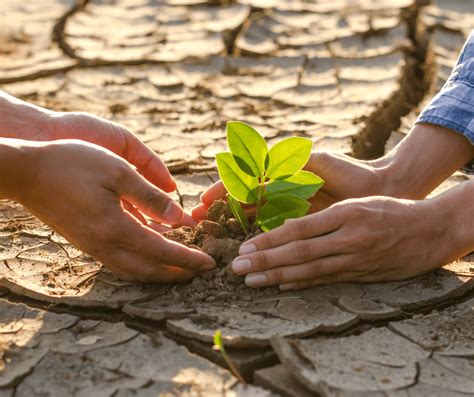 Climate Security Women In International Security