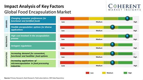 Food Encapsulation Market Size Share And Analysis 2025 2032