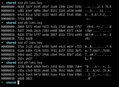Analyzing The Sonicwall Custom Grub Luks Encryption Modifications