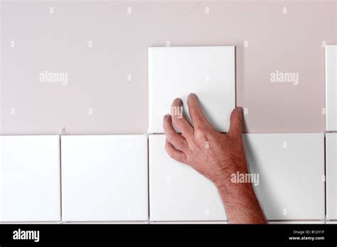 MAN TILING WALL Stock Photo Alamy