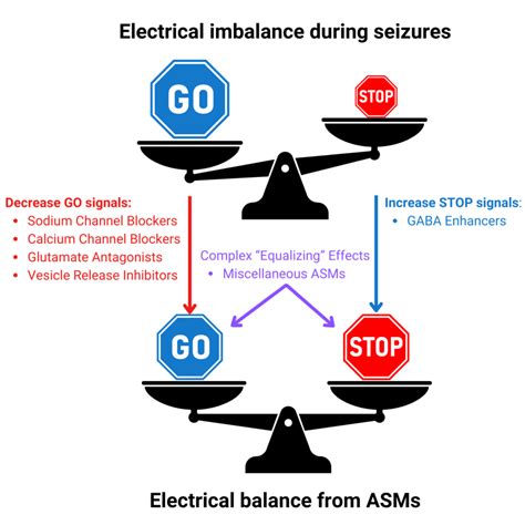 Anti Seizure Medications Explained Tess Research Foundation