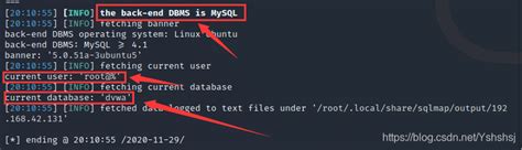 (超详细)xss和sql注入 网络渗透测试实验三xss所有语法 Csdn博客 (超详细)xss和sql注入 网络渗透测试实验三xss所有语法 Csdn博客
