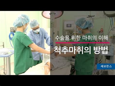 수술을 위한 마취의 이해척추마취