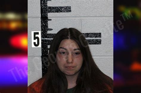 Aleea Collins — Murray County Jail Bookings