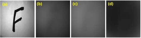 Photonics Free Full Text High Performance Polarization Imaging
