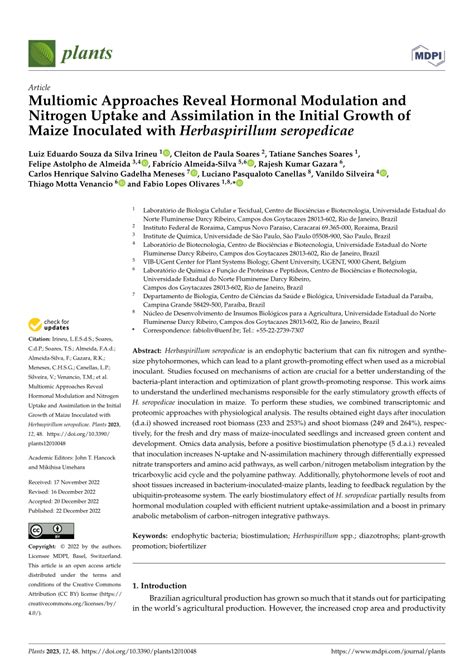 Pdf Multiomic Approaches Reveal Hormonal Modulation And Nitrogen Uptake And Assimilation In