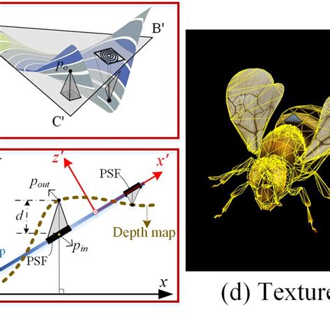 A Spectra Interpolation Based Polygon Method B Texture With Depth Download Scientific
