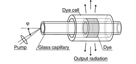 Schematic Diagram Of The Evanescent Wave Pumped Cylindrical Microcavity