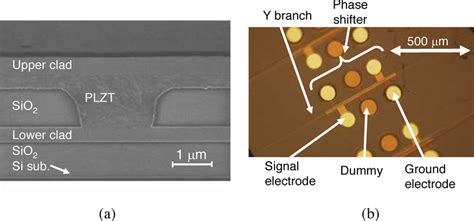 A Cross Sectional Scanning Electron Microscope Image And B Overview