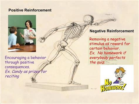 Behaviorist Learning Theories Ppt