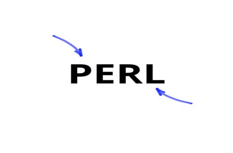 Perl Qué Es Y Por Qué Es Importante Este Lenguaje De Programación