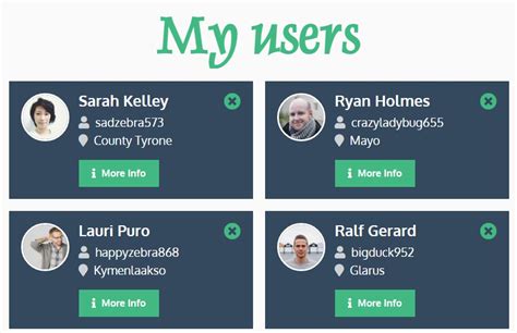 A List Of Random Users From An API Made With Vue Js