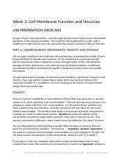 Week Lab Prep Cell Membrane Structure And Function Docx Week Cell Membrane Function