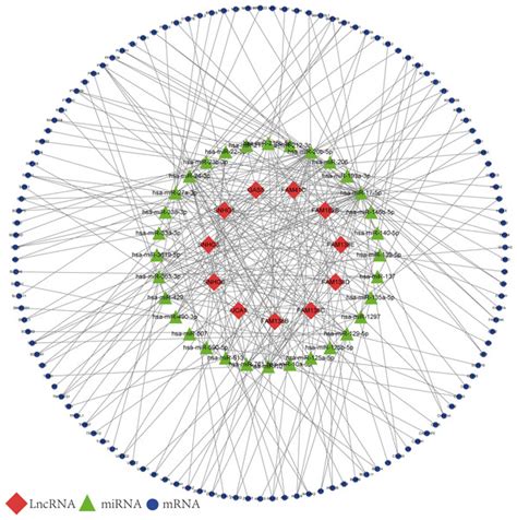 Identification Of Key Genes And Long Non Coding Rna Associated Cerna