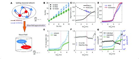 The Mean Field Theory Prediction Of The Dynamic Transition Of The Download Scientific Diagram