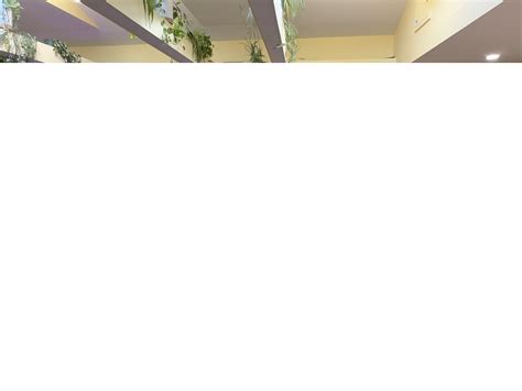 Bodyweight Strength And Mobility Classes Optimal Wellness