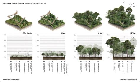 Control Of The Canopy Landscape Architecture Magazine