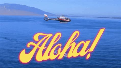 Aloha S