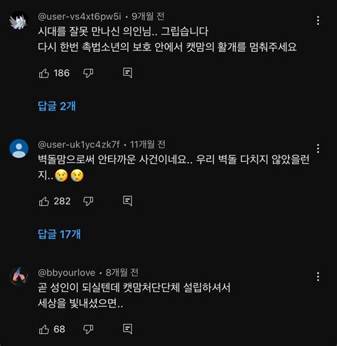 용인 캣맘 벽돌 사건 살인자 초등학생 근황 지금국내엔 네모판