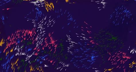 avihu almog on linkedin coding java flock simulation processing