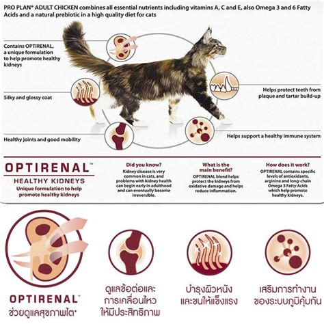 Pro Plan Cat Food Chicken And Rice Formula Good Digestion Health For Adult Cat Over 1 Year 1