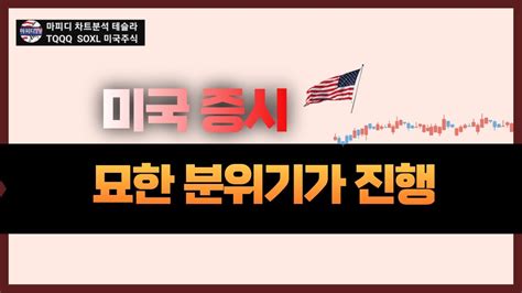 나스닥 다시 살아날까 기준은 테슬라 엔비디아 비트코인 Youtube