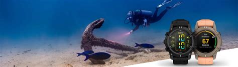 نمایندگی گارمین فروشگاه ساعت و جی پی اس گارمین