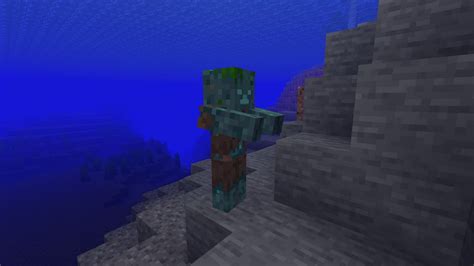 How To Get Nautilus Shell In Minecraft Update