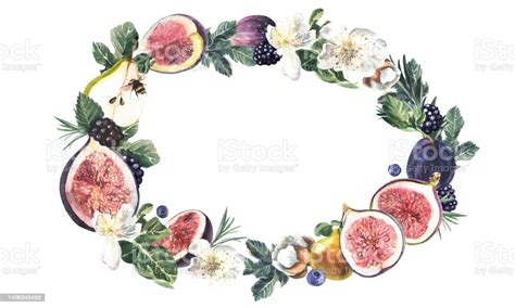 흰색 배경에 과일과 열매의 타원형 프레임 수채화 손으로 그린 그림 초대장 영화 포스터 직물 및 기타 물체의 디자인을위한 요소 0명에 대한 스톡 벡터 아트 및 기타 이미지