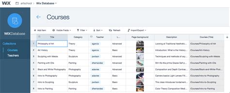 update excel spreadsheet from access database inside the wix code