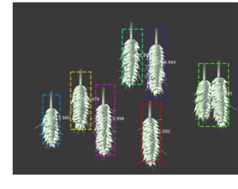 Figure From Improved Image Recognition Via Synthetic Plants Using D Modelling With Stochastic