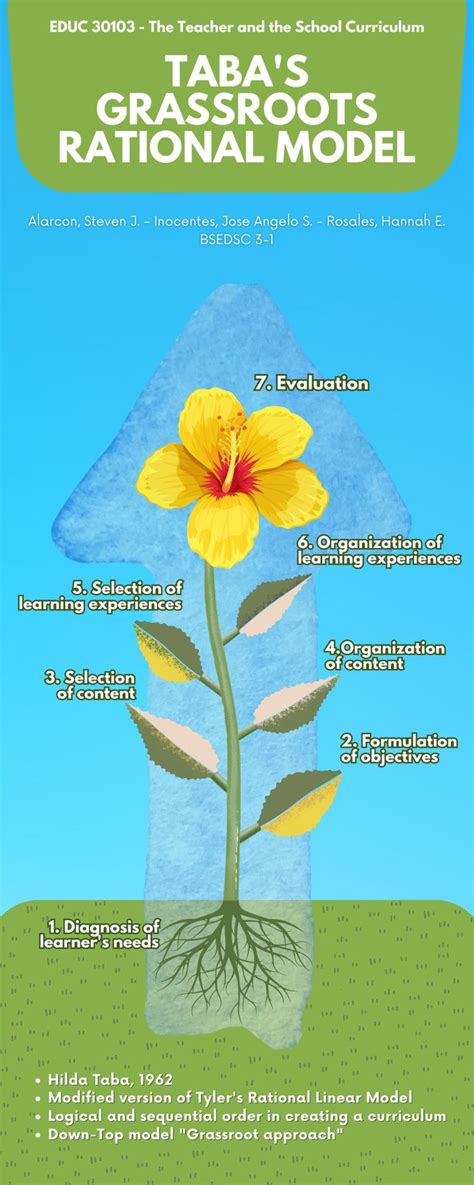 Explain Hilda Taba S Model Of Curriculum Development At Barbara Rocha Blog