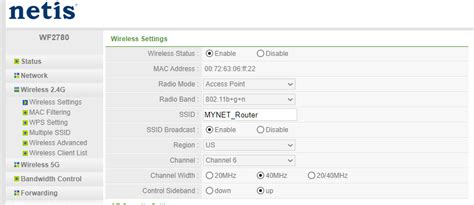 extra options in netis router r homenetworking