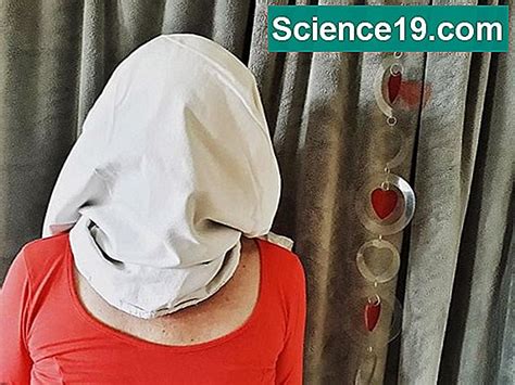 A különbség a rövid távú és a hosszú távú memória között Tudományos És Népszerű Multimédiás